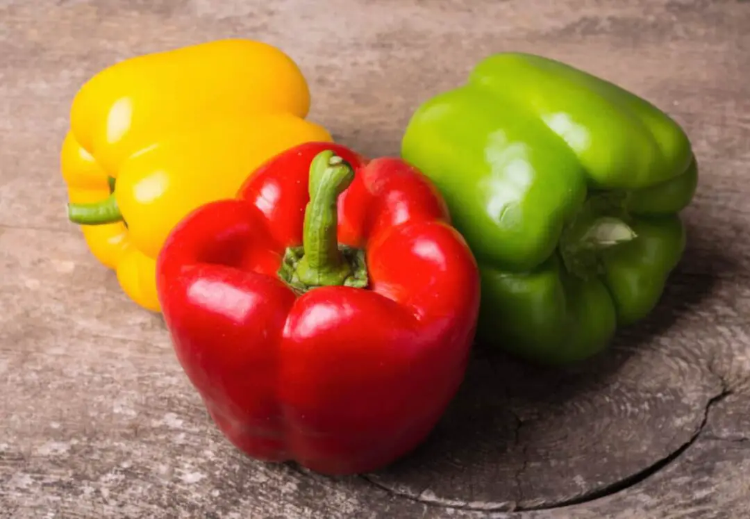 Bell Pepper Guide: Origin, Colors, Varieties, and More – The Spicy Trio
