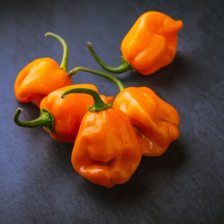 36 Amazing Uses and Benefits of Hot Peppers – The Spicy Trio