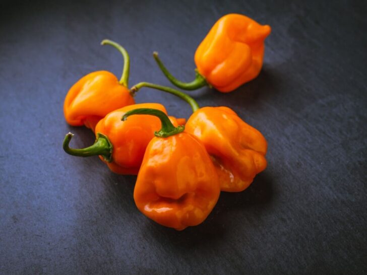 Habanero Pepper Guide: Origin, Colors, Uses, Growing and More – The ...