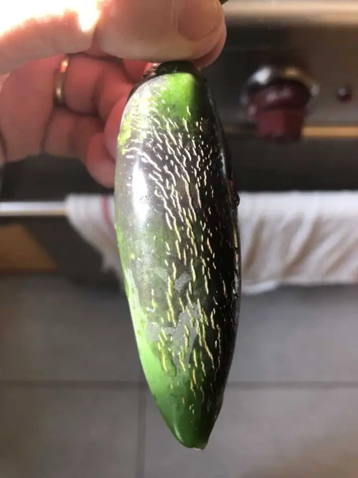 Experts Guide to Ending Chili Pepper Burn (Hand & Mouth) – The Spicy Trio