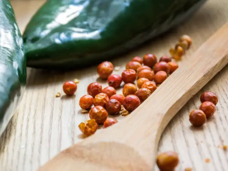 Apollo Peppers the New Secretive Super-Hot on the Block – The Spicy Trio