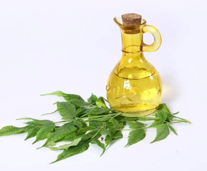 Neem Oil and Pepper Plants: 9 Things to Know – The Spicy Trio