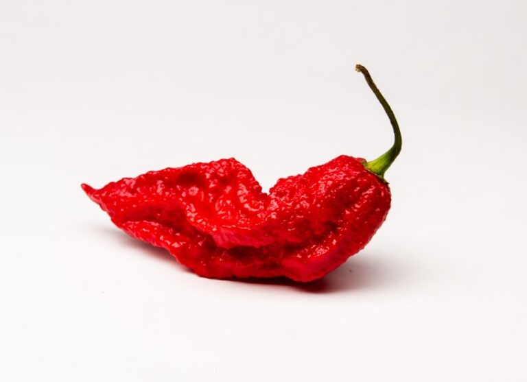 11 Popular Indian Chili Peppers: Essentials for Cooking – The Spicy Trio