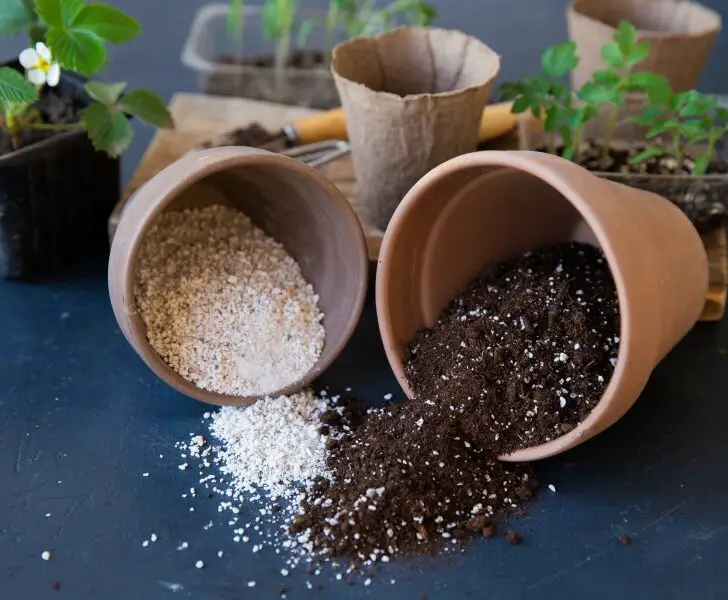 17 Rockwool Alternatives for Hydroponic Systems – The Spicy Trio