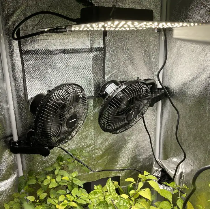 Should Grow Tent Fans be Left on 24/7? (Answered) – The Spicy Trio