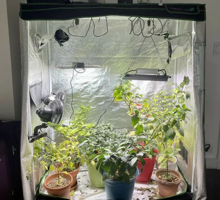 11 Effective Ways to Lower the Humidity in a Grow Tent – The Spicy Trio