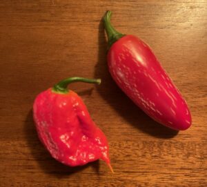 Are Your Jalapeño Pepper Not Hot? Top 3 Reasons Why – The Spicy Trio